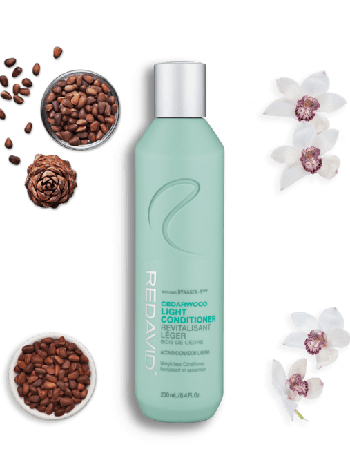 Core Collection | REDAVID Salon Products